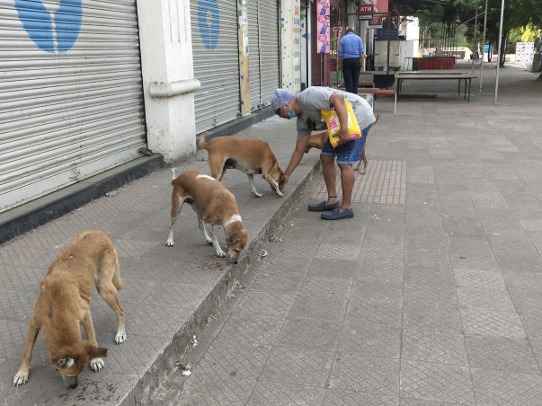 Support Utpal Khot feed Stray Animals in Lockdown
