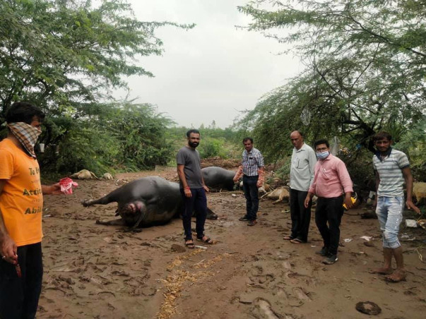 Helping To Jamnagar Flood