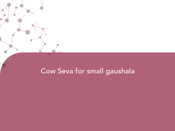 Cow Seva For Small Gaushala