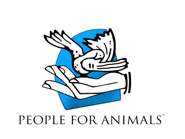 Help People for Animals rebuild their shelter