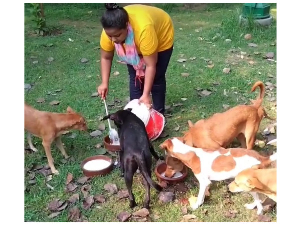 Help us to save stray animals by treatment & feeding