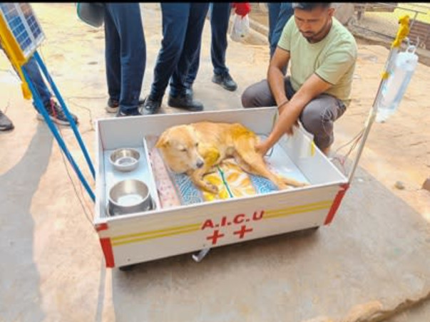 Help A.I.C.U (animal intensive care unit)
