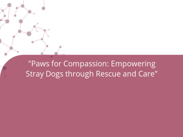 "Paws for Compassion: Empowering Stray Dogs through Rescue and Care"