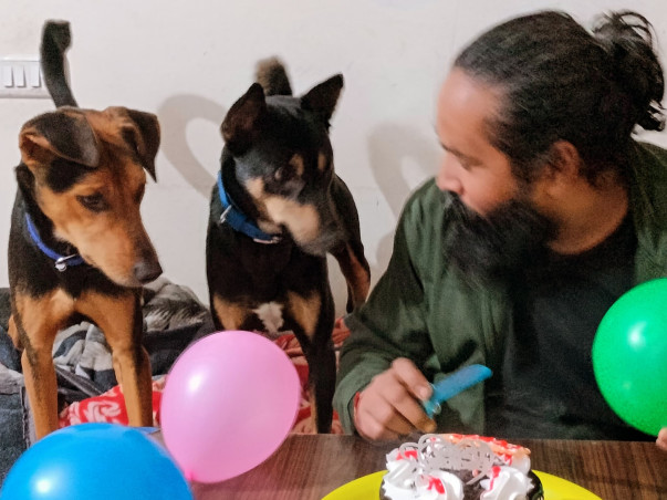 "Paws for Compassion: Empowering Stray Dogs through Rescue and Care"