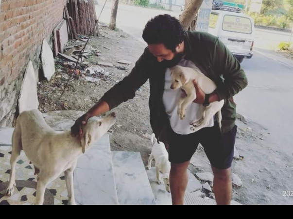 "Paws for Compassion: Empowering Stray Dogs through Rescue and Care"