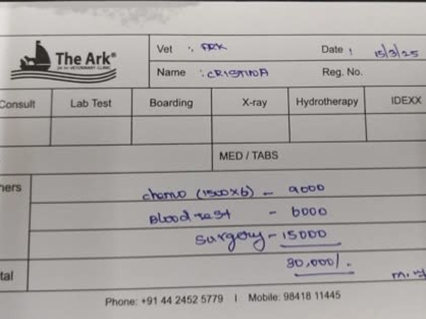 To keep our rescue operations afloat, we need your support!