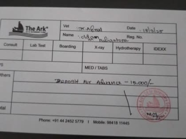 To keep our rescue operations afloat, we need your support!