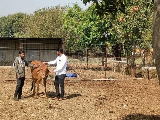 Along with that, Gaushala help in conserving the Indian germplasm and ...