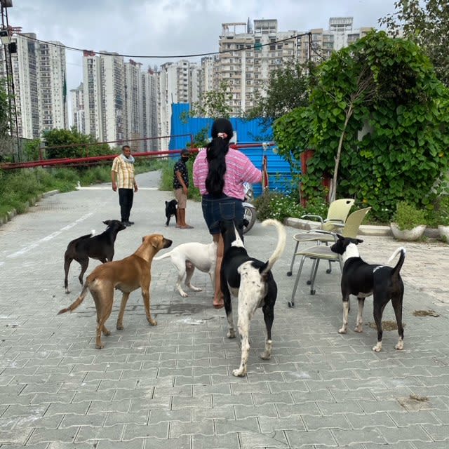 from Noida, Uttar Pradesh