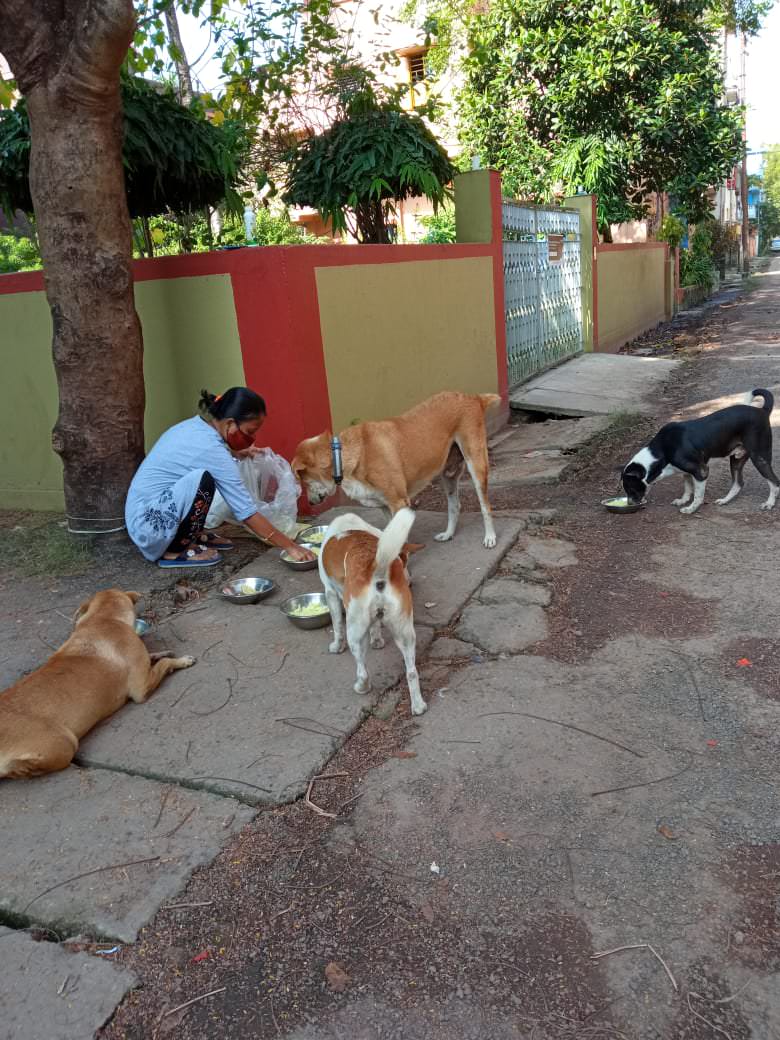 Our monthly need is Rice almost 1800kgs and Dry Dog food almost 450kgs.